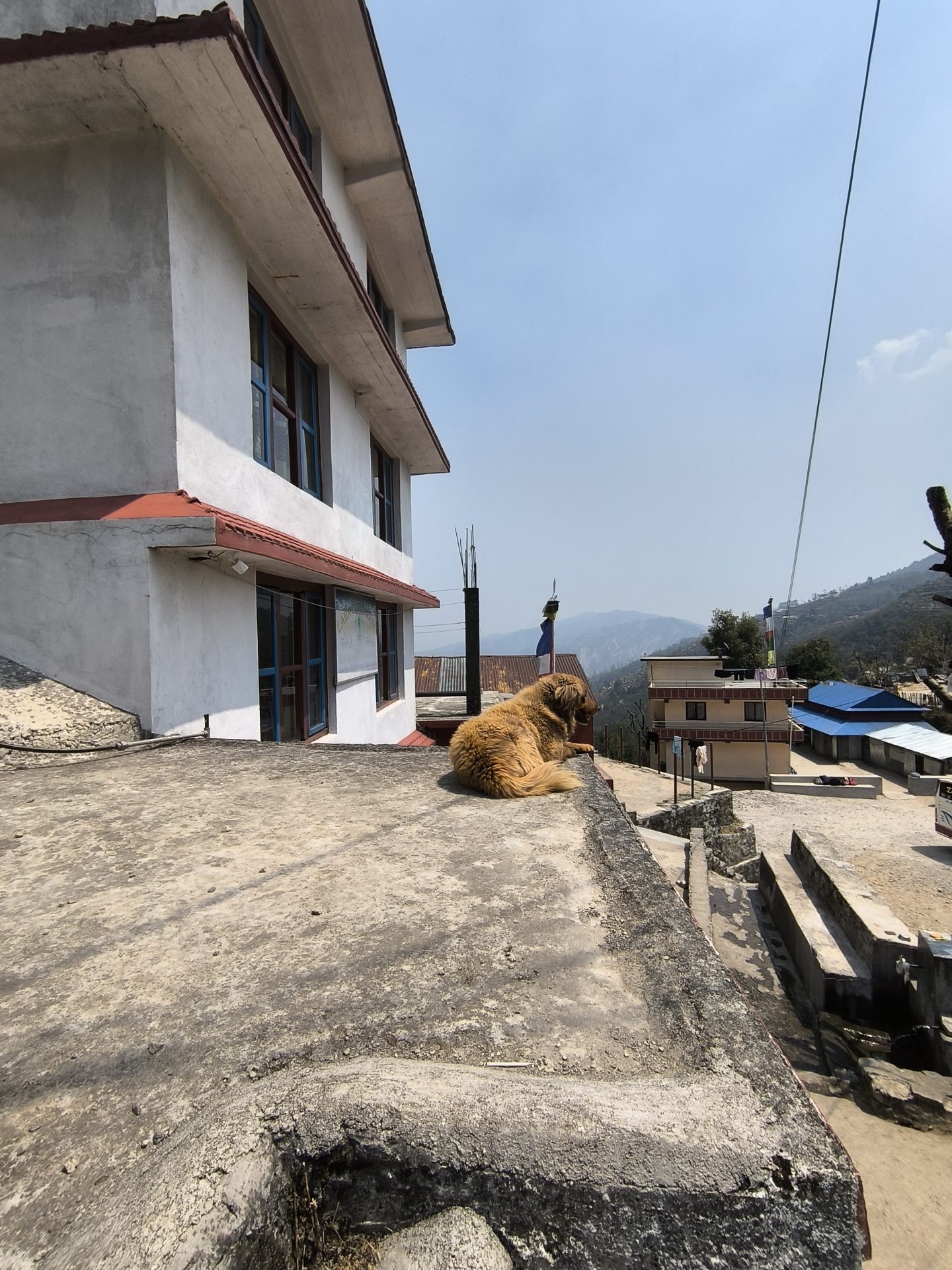Lama Guest House - Nameastay