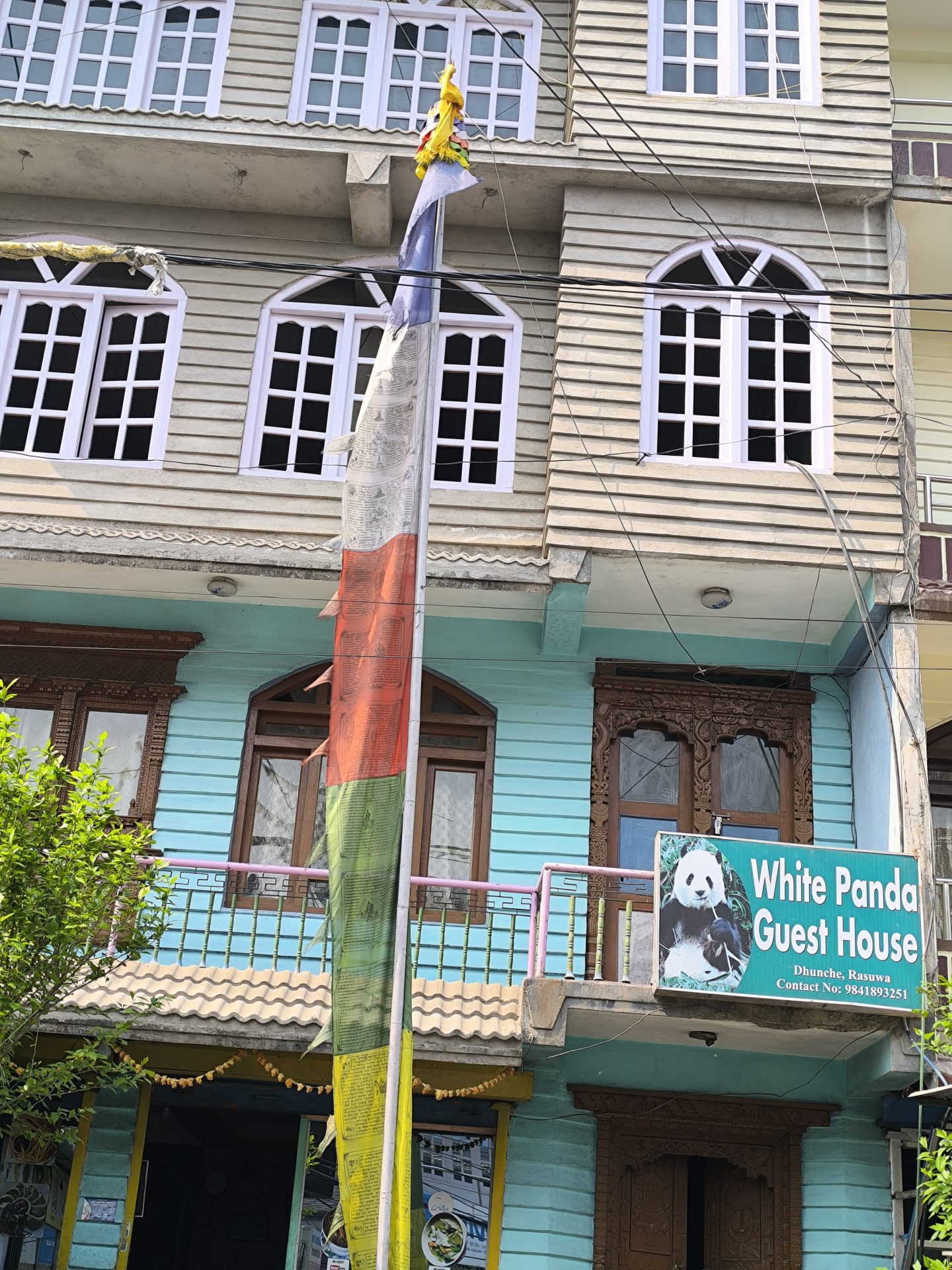 WHITE PANDA GUEST HOUSE - Nameastay