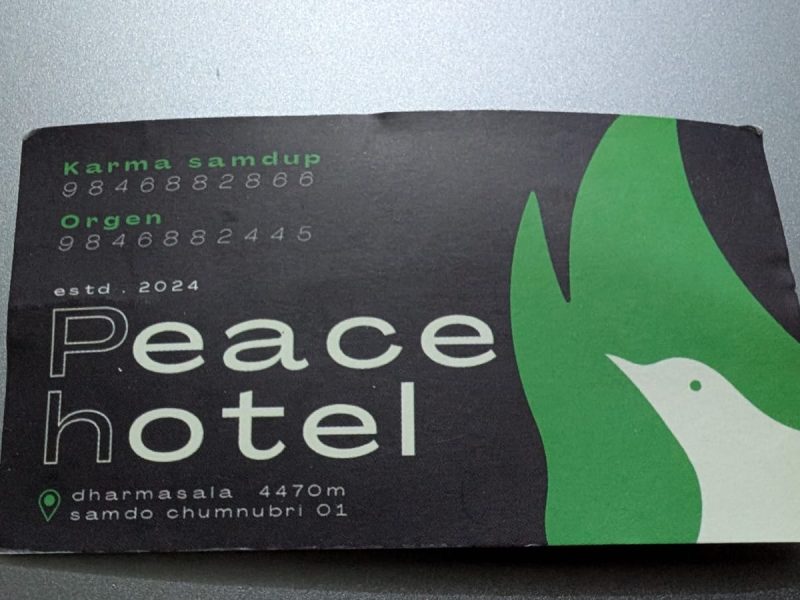 Peace Hotel - Nameastay